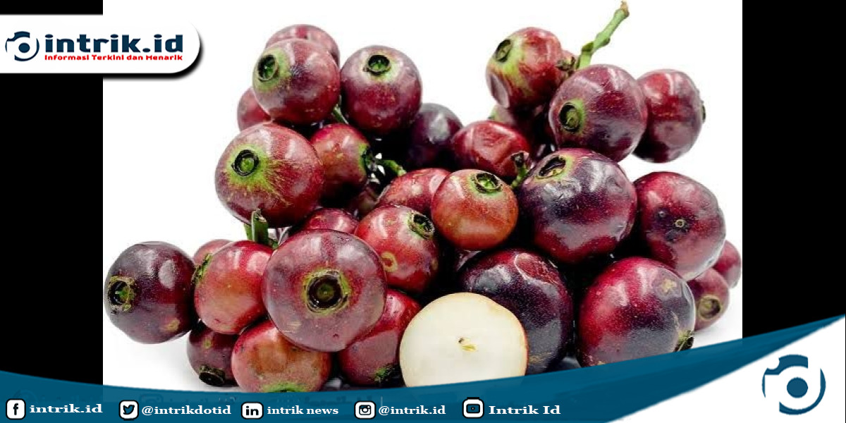 6 Manfaat Buah Gowok, Buah Langka Bisa Jadi Obat Kulit Sampai ...