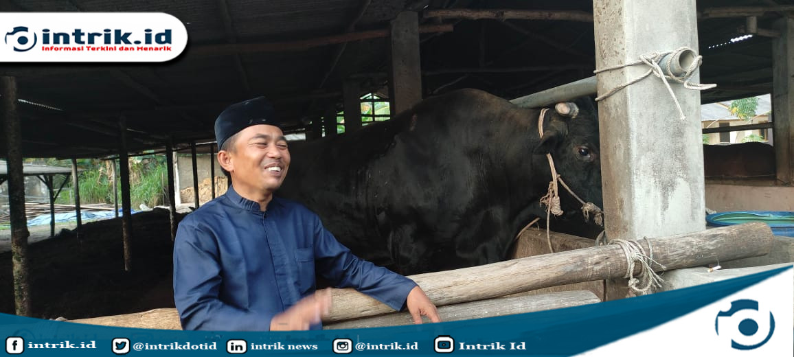 Peternak Sapi di Bangka Tengah Kaget dapat WA dari Istana Presiden ...